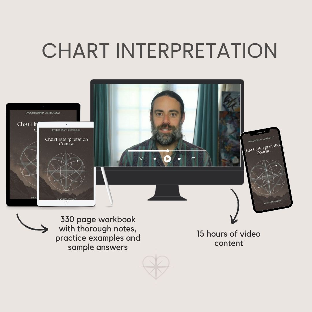 First Year Training Program – Ari Moshe Wolfe
