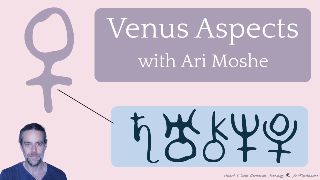 Venus Aspects – Ari Moshe Wolfe